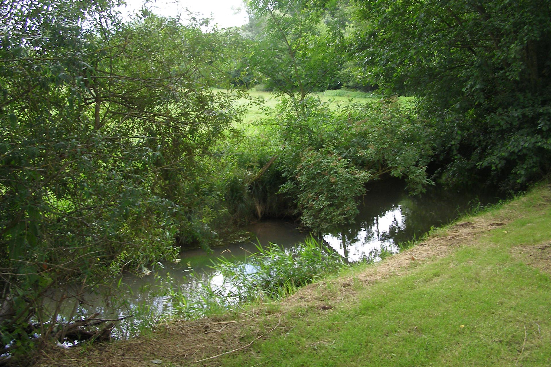 Circuit de Nacey - Côte-d'Or Randonnée