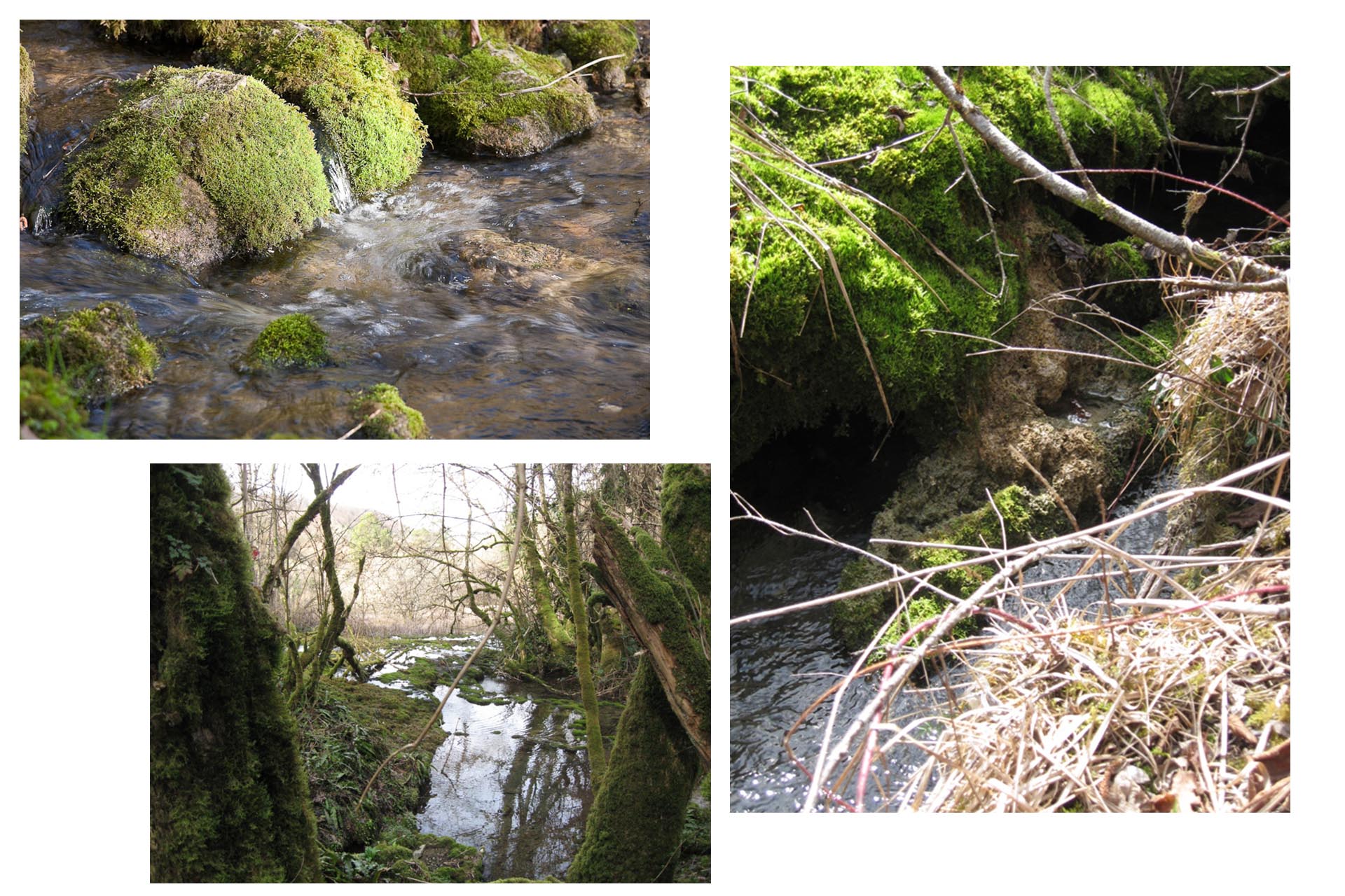 Sentier des Sources de l'Ignon - Côte-d'Or Randonnée